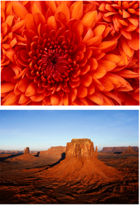 jQuery querySelector | Examples for querySelector() in Various Properties