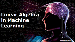 Linear Algebra in Machine Learning | How does Linear Algebra Works?