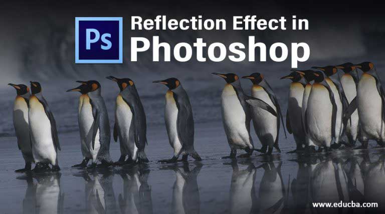 Reflection Effect in Photoshop | Create Water Reflections in Photoshop