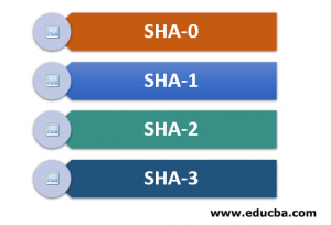 SHA Algorithm | Characteristics | Uses and Types of SHA Algorithm