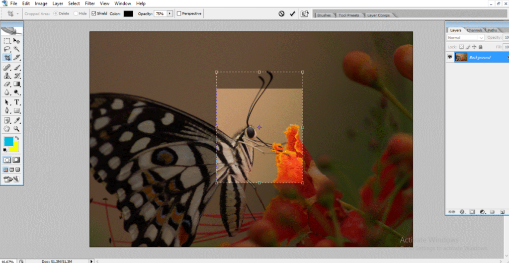 Crop Tool in Photoshop | Learn to Use Crop Tool in Photoshop