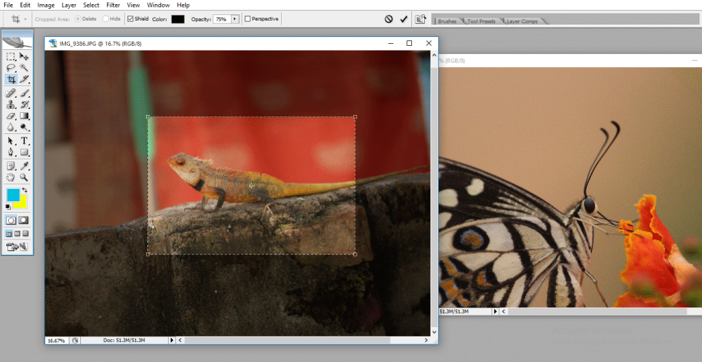 Crop Tool in Photoshop | Learn to Use Crop Tool in Photoshop