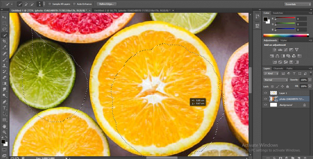 Quick Selection Tool in Photoshop | How to Use the Quick Selection Tool?