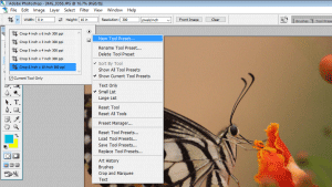 Crop Tool in Photoshop | Learn to Use Crop Tool in Photoshop