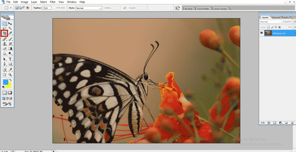 Crop Tool in Photoshop | Learn to Use Crop Tool in Photoshop