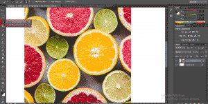 Quick Selection Tool in Photoshop | How to Use the Quick Selection Tool?