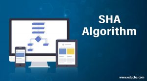 SHA Algorithm | Characteristics | Uses and Types of SHA Algorithm