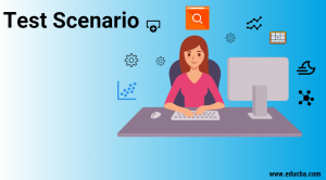 Test Scenario | How to Write a Test Scenario with an Example