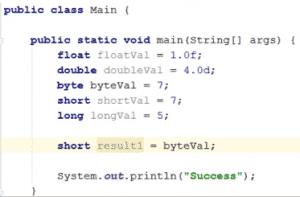 Type Conversion in Java | Two Main Types of Conversion in Java