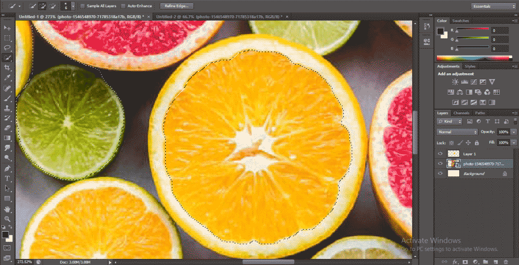 Quick Selection Tool in Photoshop | How to Use the Quick Selection Tool?