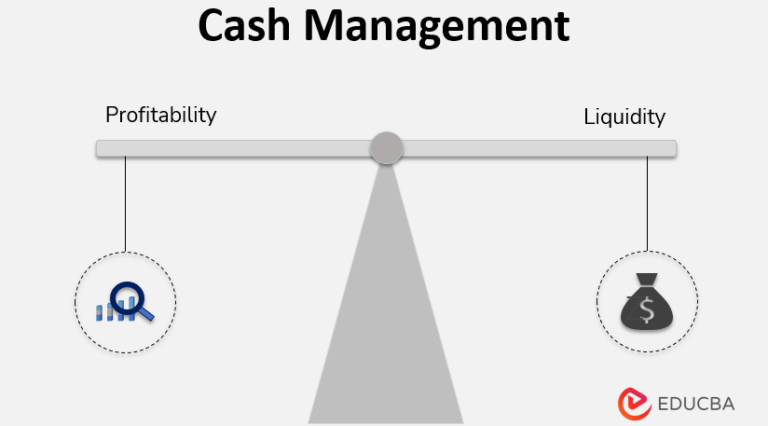 Cash Management | Types and Roles of Cash Management with Functions