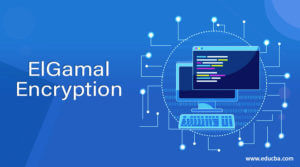 ElGamal Encryption | Simple Steps How EIGamal Encryption Happens