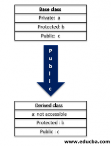 Access Specifiers in C++ | A Quick Glance of Access Specifires