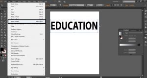 Reflection in Illustrator | How to Create Reflection Effect in Illustrator?