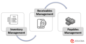 Cash Management | Types and Roles of Cash Management with Functions