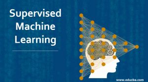 Supervised Machine Learning | Working & Top 5 Useful Algorithms