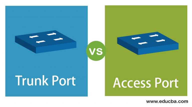 Trunk Port vs Access Port | 10 Amazing Comparisons To Know Trunk Port vs Access Port | 10 Amazing Comparisons To Know