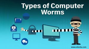 Types of Computer Worms | List of 5 Types of Computer Worms