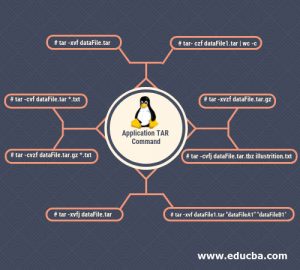 Tar Command in Linux | 14 Useful Applications of Tar Command in Linux