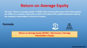 Return on Average Equity | Examples with advantages and limitations