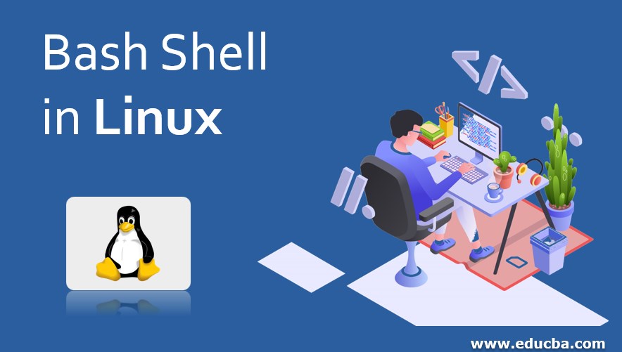 Bash Shell In Linux LaptrinhX