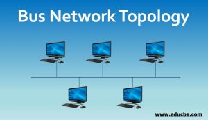 Bus Network Topology | Top Components, Advantages & Disadvantages