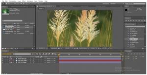 Composition in After Effects | 15 Steps to Create Composition in after ...