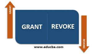 Data Control Language | Working & Commands Of Data Control Language