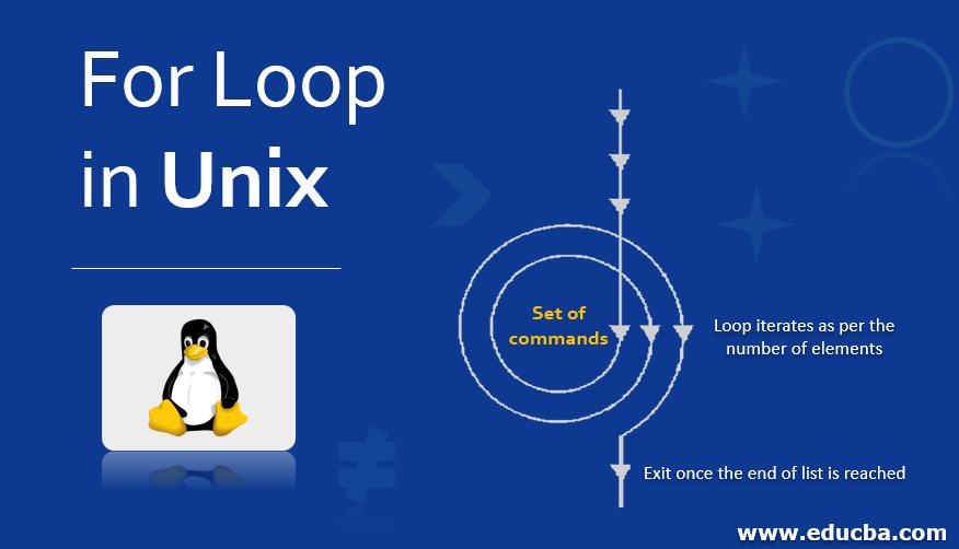 For Loop In Unix Learn How For Loop Works In Unix 