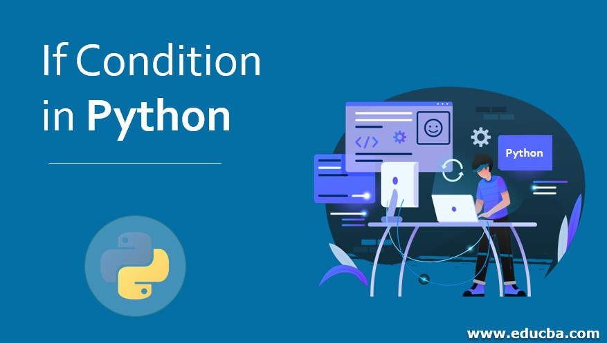 Python Python 