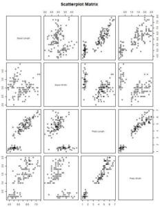 Scatterplots in R | A Quick Glance of How to create Scatter plots in R?