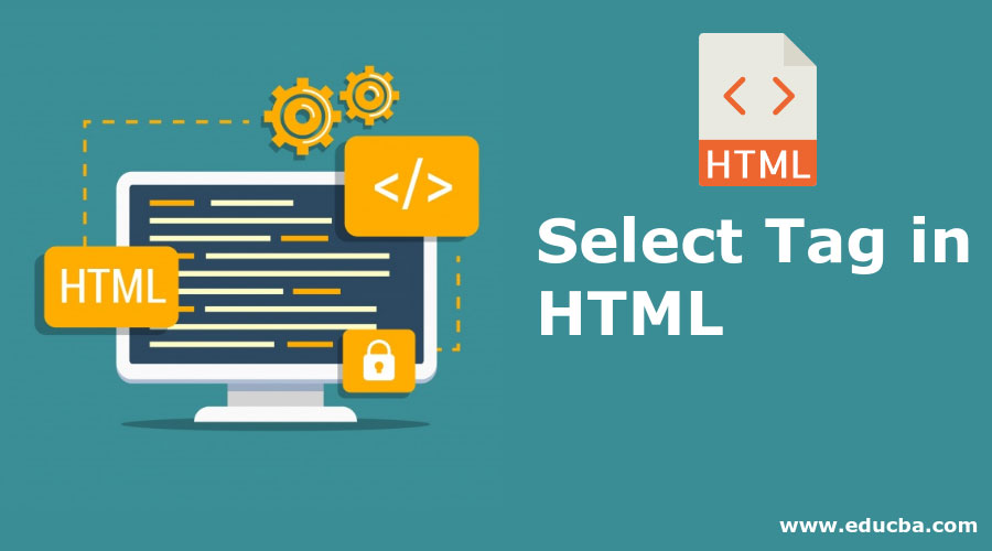 Select Tag In HTML Learn The Examples Of Select Tag In HTML