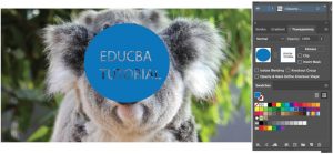 Transparent in Illustrator | Enhance your Artwork with Transparency Effects