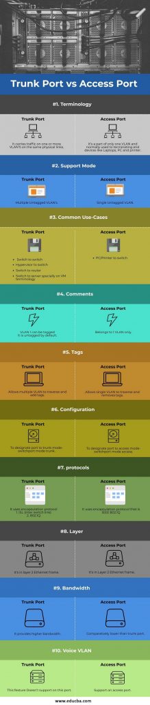 Trunk Port vs Access Port | 10 Amazing Comparisons To Know Trunk Port vs Access Port | 10 Amazing Comparisons To Know