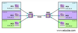 Types of VLAN | Five Major Types of VLAN You Need To Know