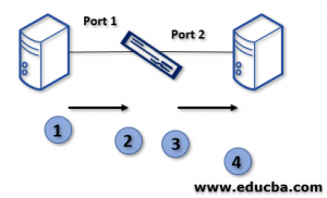 VLAN Tagged vs Untagged | Know Good and Bad Reasons to Use VLAN
