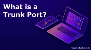 What is a Trunk Port | Comprehensive Guide to Trunk Port