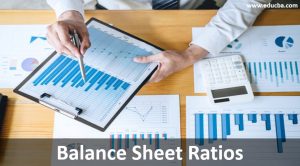 Balance Sheet Ratios | Different Types of Balance Sheet Ratios