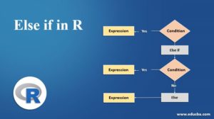 Else if in R | How Else if Statement Works in R with Sample Code