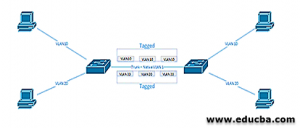 What is a Trunk Port | Comprehensive Guide to Trunk Port