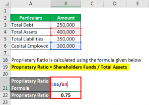 Accounting Ratios | Example | Explanation with Excel Template