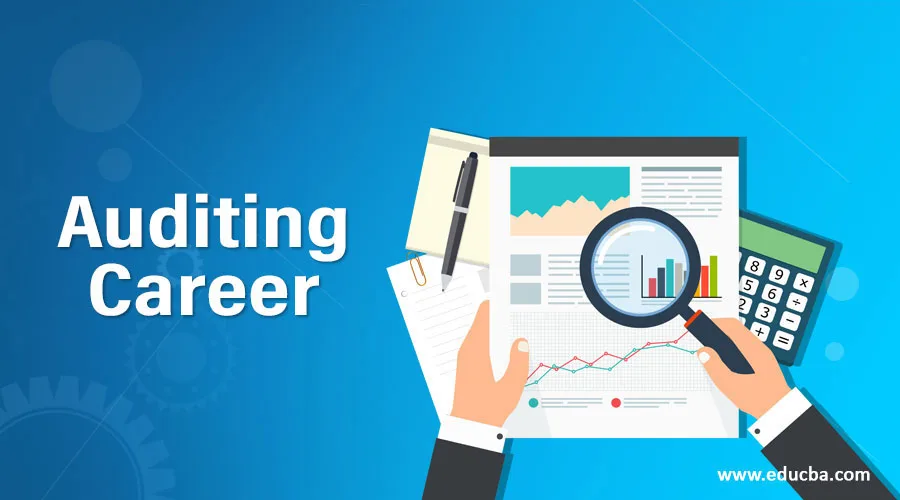 Auditing Career | Career Paths in the Field of Auditing
