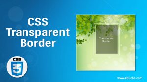 CSS Transparent Border | Creation of Transparent Border using CSS