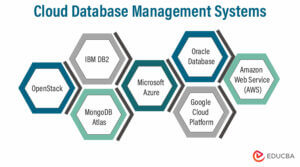 Different Types of DBMS (Database Management Systems)