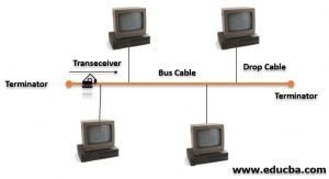 Bus Network Topology | Top Components, Advantages & Disadvantages