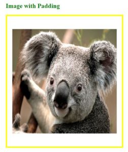 HTML Image Padding | How does Image Padding work in HTML or CSS?