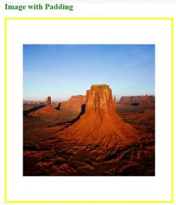 HTML Image Padding | How does Image Padding work in HTML or CSS?