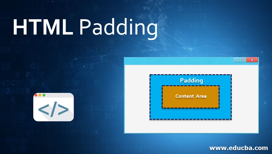 HTML Padding Four Vital Padding Values Of HTML You Need To Know