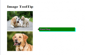 JavaScript Tooltip | How does Tooltip Work in JavaScript | Examples