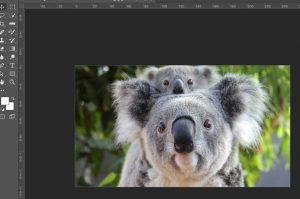 Morphing in Photoshop | Morphing Two Faces in Adobe Photoshop